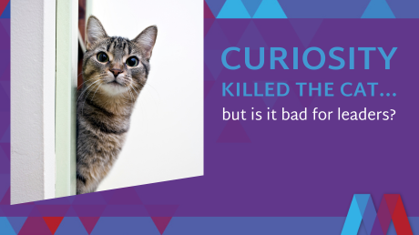 Curiosity killed the cat... but is it bad for leaders? - Mosaic People ...